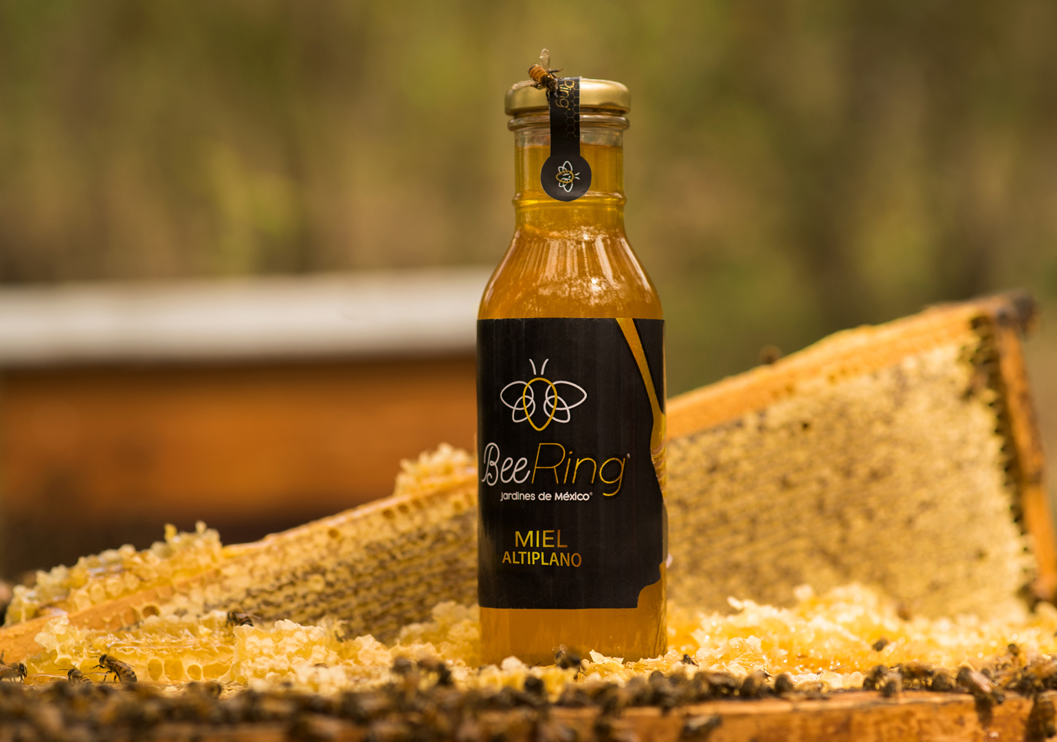 PRODUCTO-TEMPLATE – The BeeRing